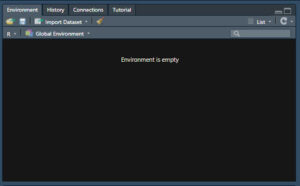 Rstudio Environment 内のオブジェクトを一掃する