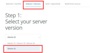 【RStudio Server】Ubuntu で RStudio Server の構築