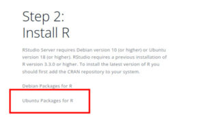 【RStudio Server】Ubuntu で RStudio Server の構築