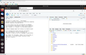 【RStudio Server】Ubuntu で RStudio Server の構築
