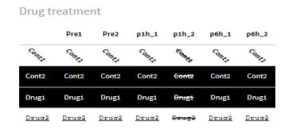 【Rで作表】{knitr}パッケージのkable()と{kableExtra}パッケージの組み合わせ